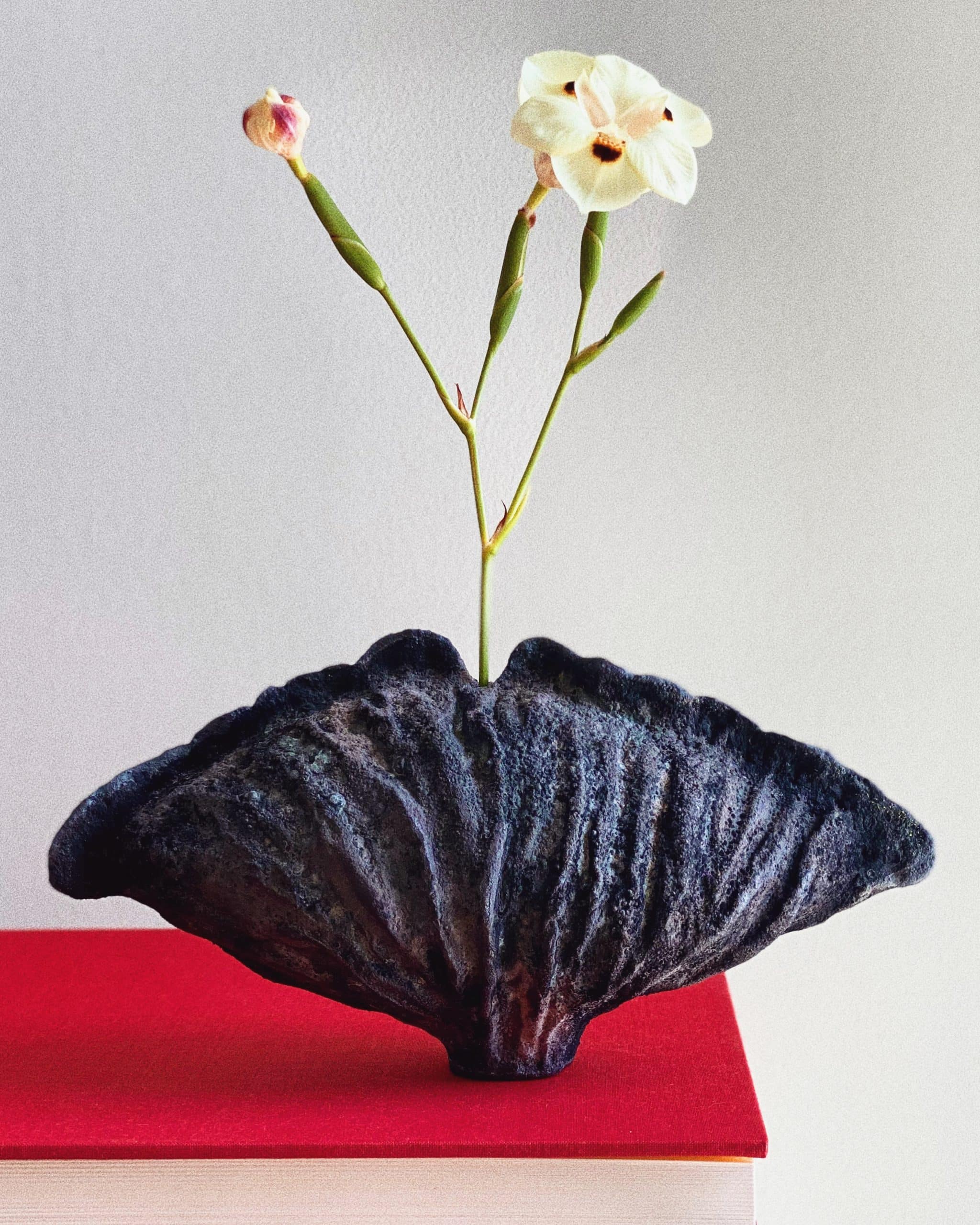 Interview. Graphic Designer Meets Ceramics: Jonathan Yamakami ...