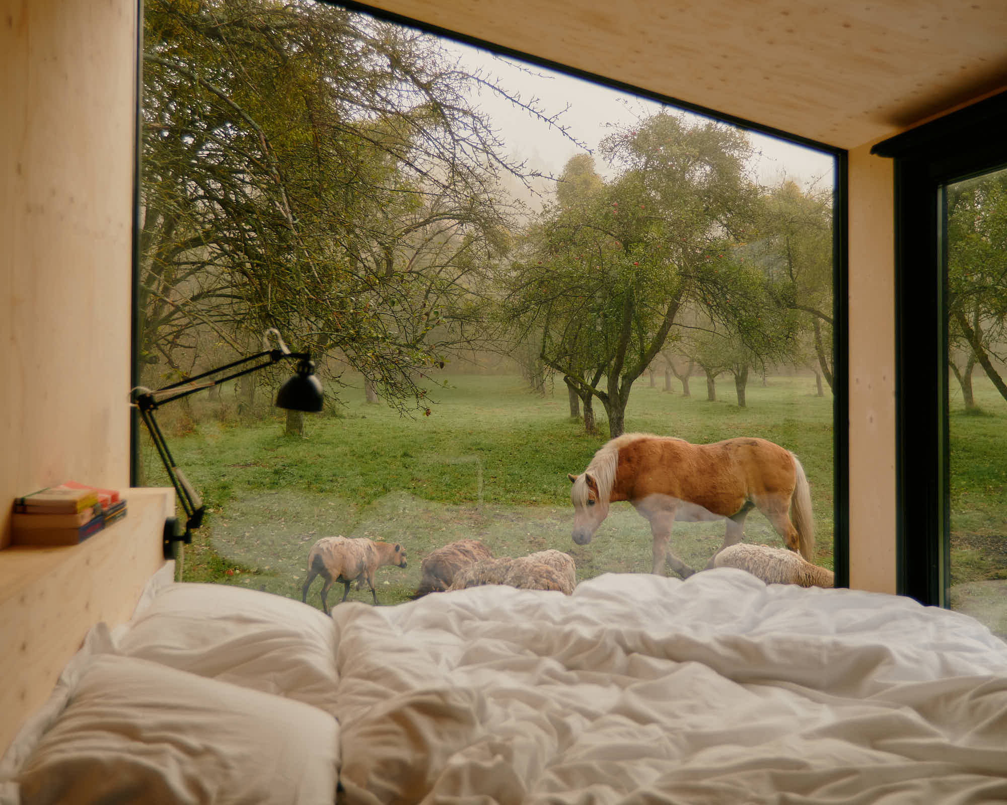 Q&A: Tiny House Hospitality with German Start-up Raus - ArchiExpo e ...