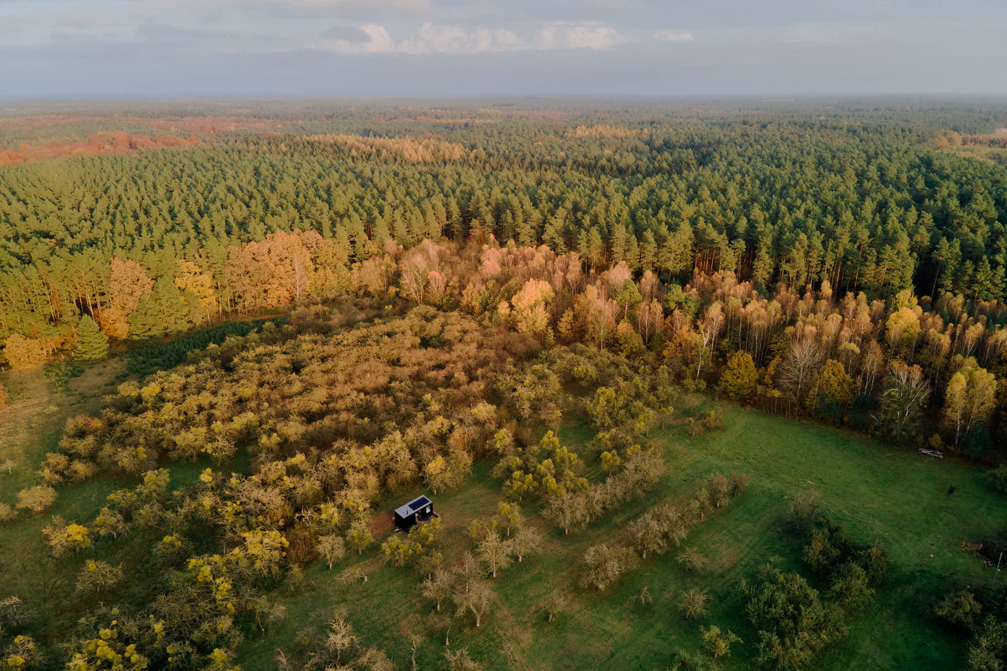 Q&A: Tiny House Hospitality with German Start-up Raus - ArchiExpo e ...
