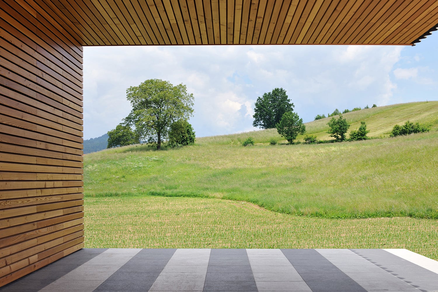 Reviving the 3rd Largest Forest Cover in Europe - ArchiExpo e-Magazine