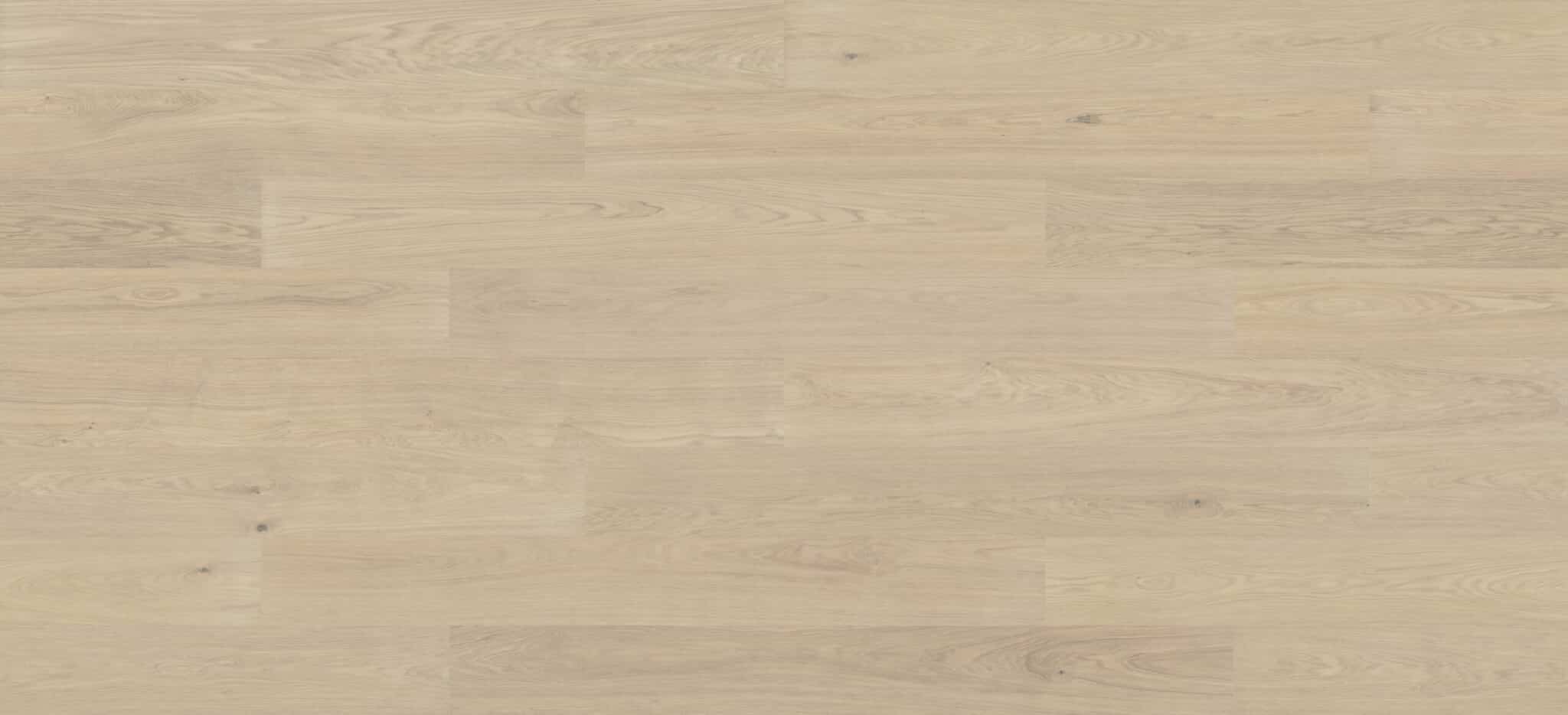 Bjelin Unveils Select Choice - ArchiExpo e-Magazine